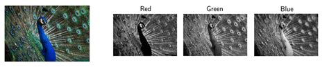 visualizing kernels and feature maps in deep learning model cnn by