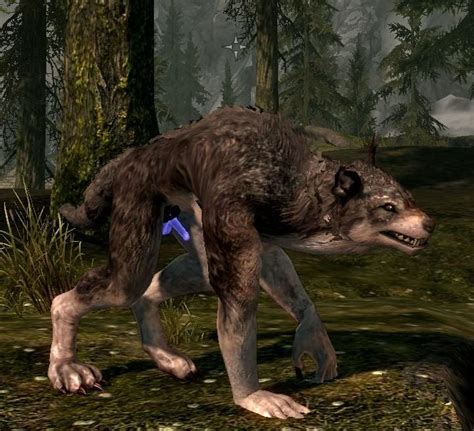 The Scientific Approach To Invisible Werewolves Technical Support