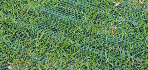 how to remove plastic lawn netting 6 useful guide 2025