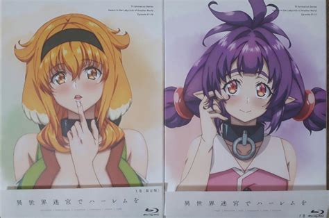 異世界迷宮でハーレムを 上巻 下巻セット アニメ 全商品