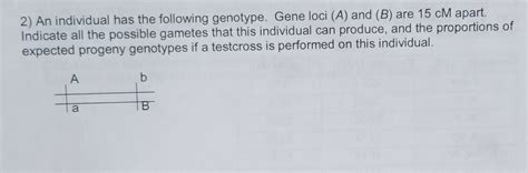 Solved 2 An Individual Has The Following Genotype Gene