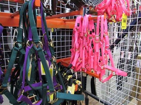 Approx 110 Assorted Nylon Halters On Grid Rosen Systems