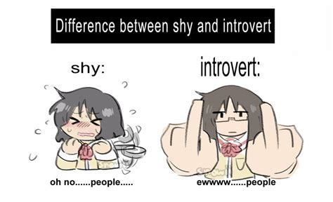 Introvert Meme Know Your Meme Vrogue Co