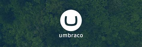 creating a sustainable web design with umbraco marcel digital