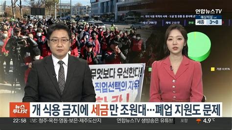 개고기 금지법 통과 여파  유머 움짤 이슈 에펨코리아