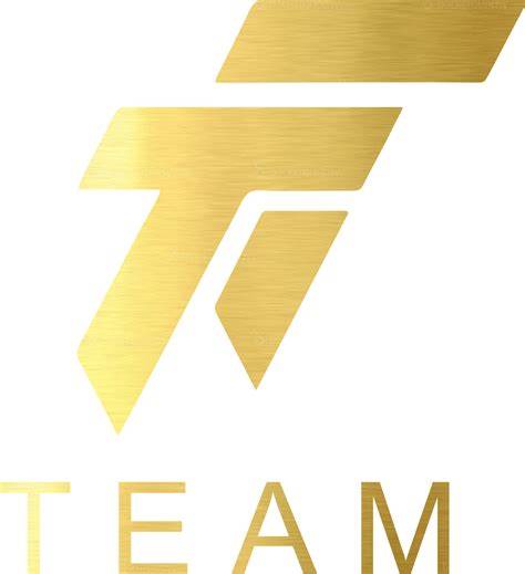 TRAFFIC Tashkent Team - Liquipedia Counter-Strike Wiki
