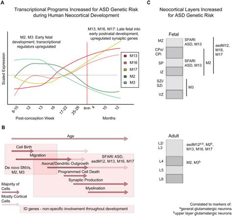 Integrative Functional Genomic Analyses Implicate Specific Molecular