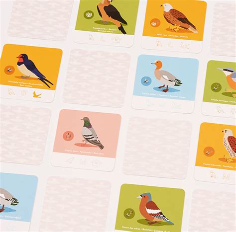 Helvetiq Fly Home Juego de cartas Juego de observación temática de pájaros Juego de memoria