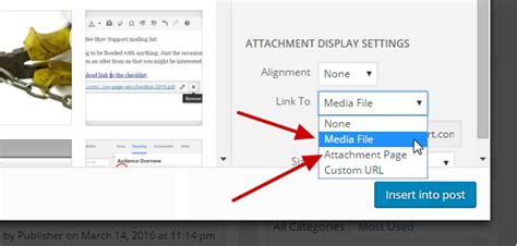 Click To Enlarge Images In Wordpress See How Support