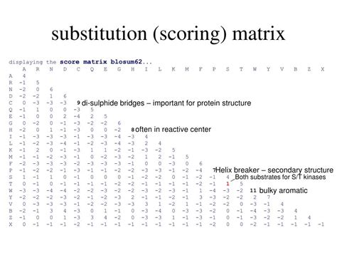 Ppt Basics Of Sequence Alignment And Weight Matrices And Dot Plot Powerpoint Presentation Id