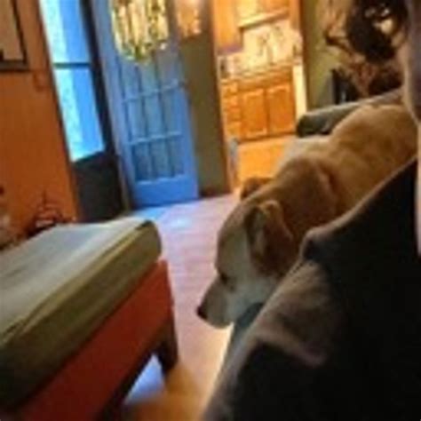 Mingle Squid Game Sheet Music For Flute Oboe Clarinet Bass