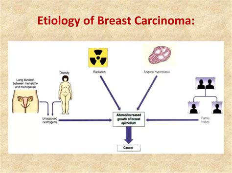 Breast Malignant Lesions Overview Ppt