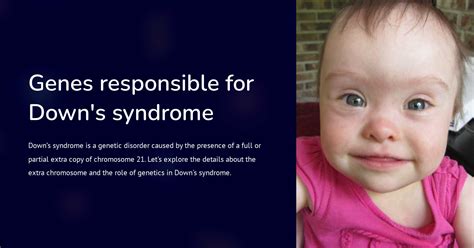 Genes Responsible For Downs Syndrome