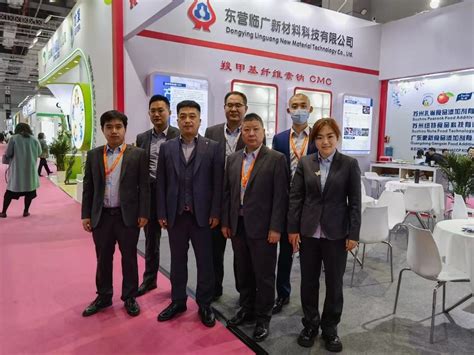 Additive Cmc Binder Lithium Ion Batteries Sodium Carboxymethyl Cellulose