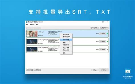 雨伞视频字幕提取 Windows版 雨伞素材库 雨伞视频字幕提取 Windows版 雨伞素材库