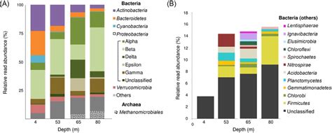Taxonomic Affiliation Of Rrna Sequences Across Depths The Sequences Download Scientific