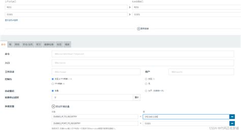 Docker部署的微服务，指定ip注册到nacos，dubbo指定ip和端口注册到nacosdubbo指定注册ip Csdn博客