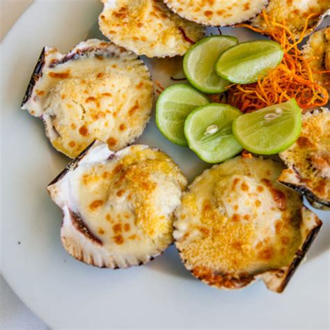 Ostiones A La Media Concha Bolsa De 1 Kg Frescura Y Sabor Del Mar