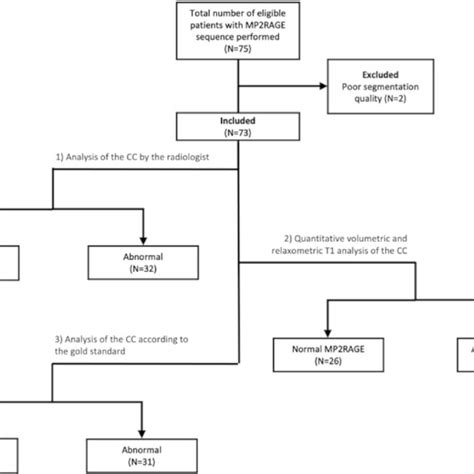 Patient Flow Chart And Analysis Steps Download Scientific Diagram