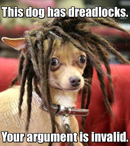 Funny Dreadlocks Quotes Quotesgram