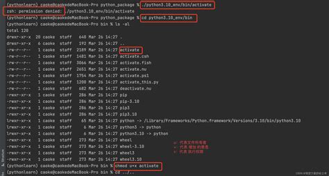 关于zsh Permission Denied 问题 已解决 Csdn博客