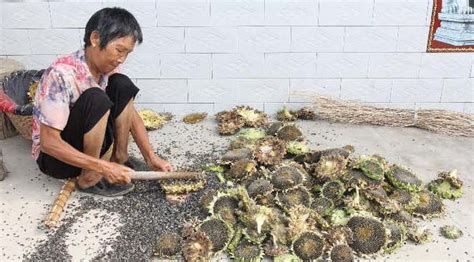 棒槌 渭南临渭耕织器具 图片