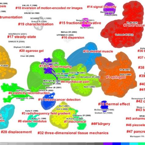 Cluster Visualization Of The Reference Co Citation Network With