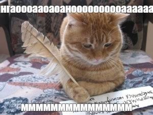 кот с пером - Создать мем - Meme-arsenal.com