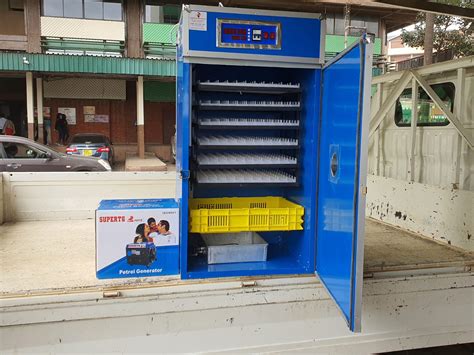 528 Eggs Medium Poultry Incubator Fully Automatic Hatchery Ecochicks