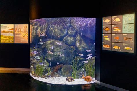 Atlantis Aquarium Madrid Madrid Film Office