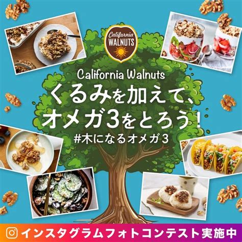 身体に良い油で健康をサポート！カリフォルニアくるみ協会主催のインスタグラムフォトコンテスト開催 ぷれにゅー