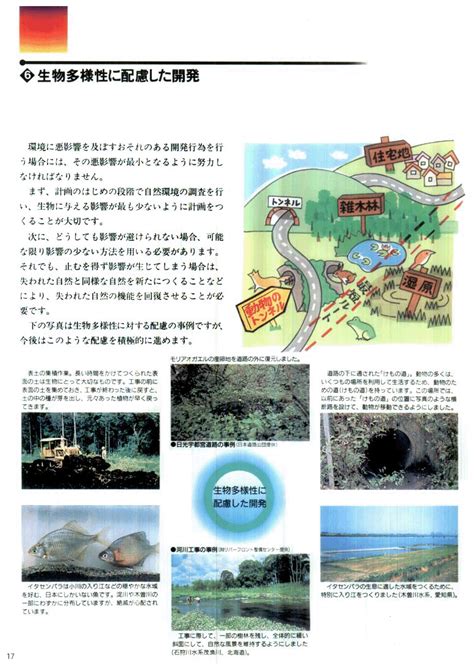 生物多様性国家戦略