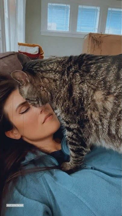 😼🥰 This Is How He Welcomes Me Home ️ Shorts Love Youtube