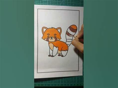 Mewarnai Gambar Rakun Dengan Pensil Warna Coloring Raccoon Shorts