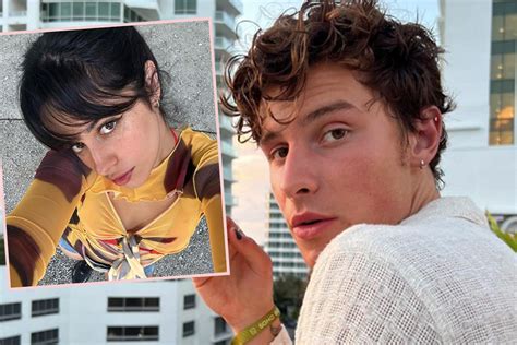 Shawn Mendes Ignites Controversy After Using NYC Air Pollution To