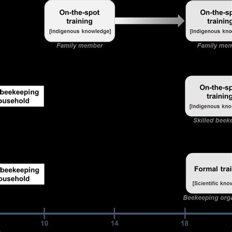 Pathways To Beekeeping Download Scientific Diagram