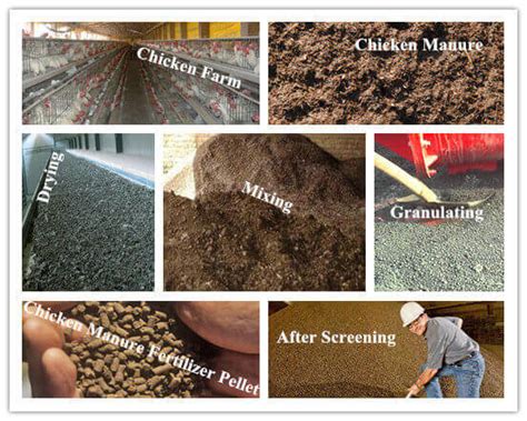 Chicken Manure Organic Fertilizer Production Line