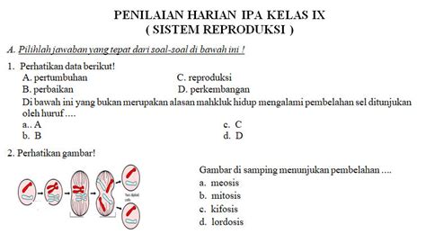 Soal Ulangan Harian Sistem Reproduksi Manusia Kelas 9 2021