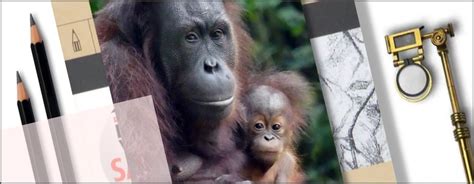 How To Trace A Drawing 12 Tracing Methods Old And New