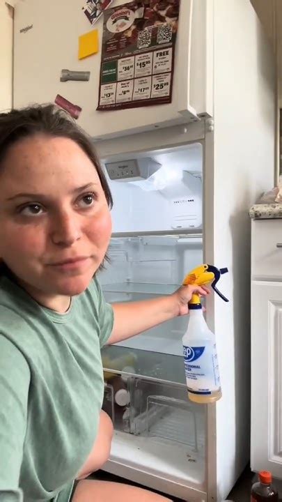 Cleaning For The Views Part 3 Viralvideocleaning Youtube Shotrs