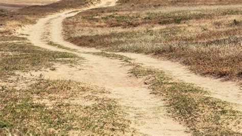 시골의 구불구불한 흙길 프리미엄 사진