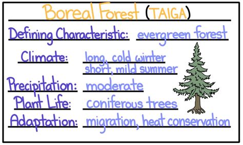Polar Biomes — Tundra And Taiga Expii