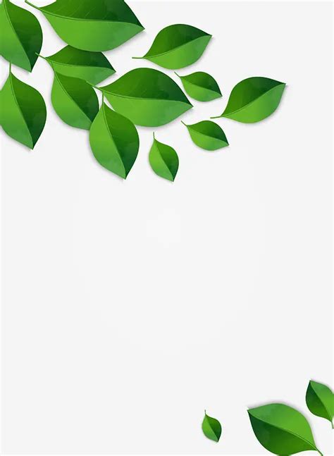 矢量清新绿叶背景背景图片素材下载图片编号ydxzmoxk 免抠素材网
