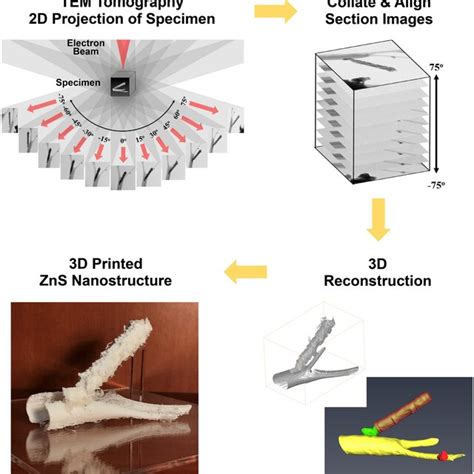 Schematic Illustration Of Tem Tomography Data Acquisition 3d