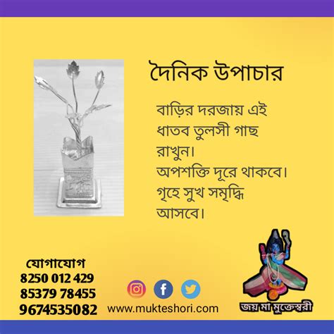 দৈনিক উপাচার ৮ জুলাই ২০২৩ জয় মা মুক্তেস্বরী মা মুক্তেশ্বরী