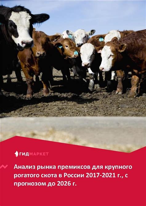 Маркетинговое исследование рынка премиксов для крупного рогатого скота