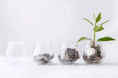 Best Banking And Psu Mutual Funds To Invest In November 2024