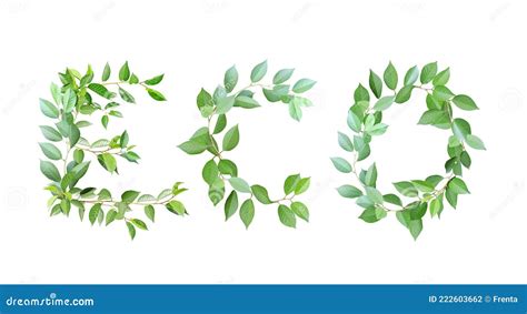 绿色叶子的word Eco 库存照片 图片 包括有 概念 环境 气候 季节 外出 叶子 增长 222603662