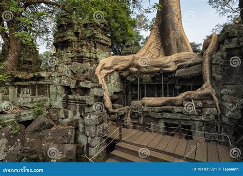 Angkor Wat Overgrown Temple Ruins Royalty Free Stock Photo CartoonDealer