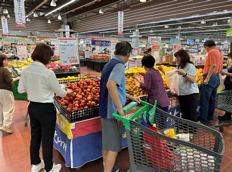 창녕군 대도시 첫 핵과류 판촉 행사 개최 대한경제
